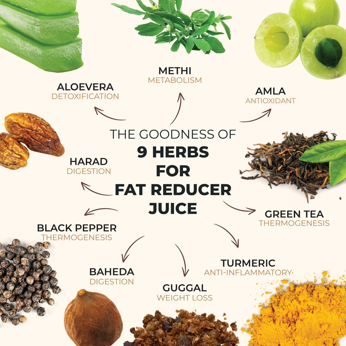 Nea Fat Reducer Juice | 9 Ayurvedic Herbs | Weight Management & Get Sl ...